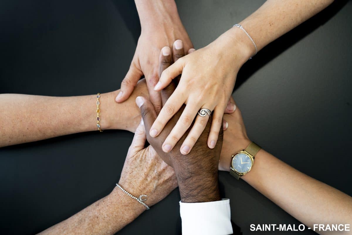 Krowa Polska Czerwono Biała - Co Warto Wiedzieć Na Temat Tej Rasy ...